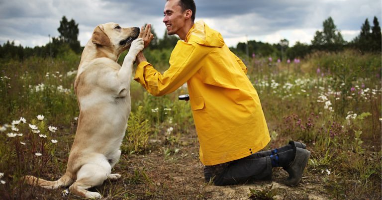 Lab Training for Field Trials: 8 Strategies That Work | Puplore