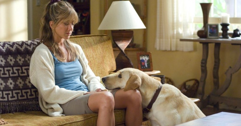 15 Sad Dog Movies That’ll Make You Cry Every Time | Puplore